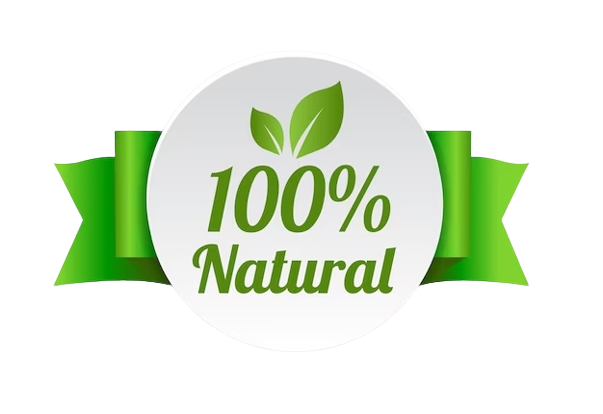 Bite Byte Foods - Home of All-Natural Idly Dosa Batter